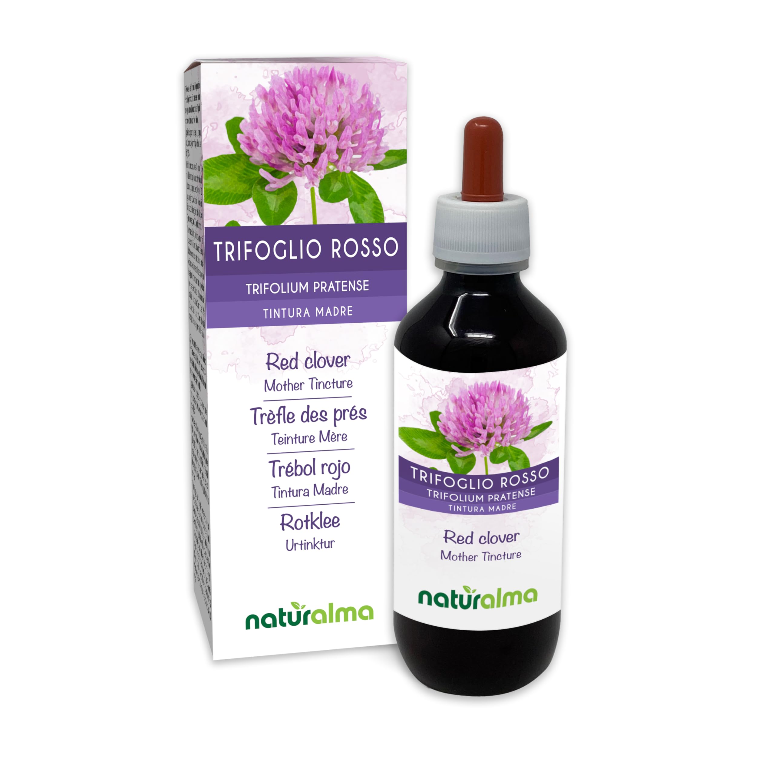Red Clover (Trifolium pratense) herb with Flowers Alcohol-Free Mother ...