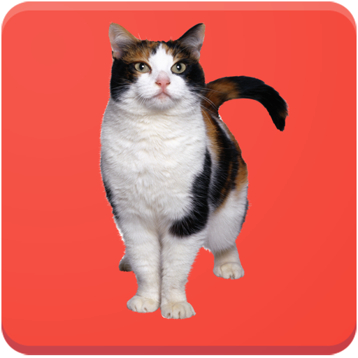 Cat Adoption - App on Amazon Appstore