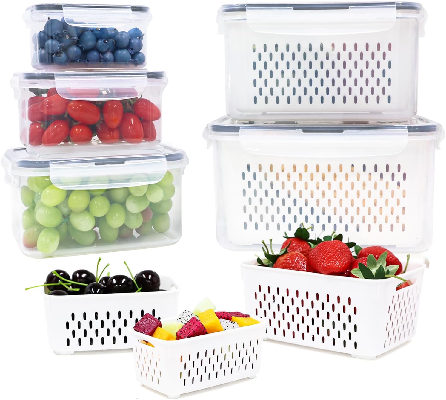 Amazon.com: Komax Biokips Large Food Storage Container 155oz. (set of 2 ...