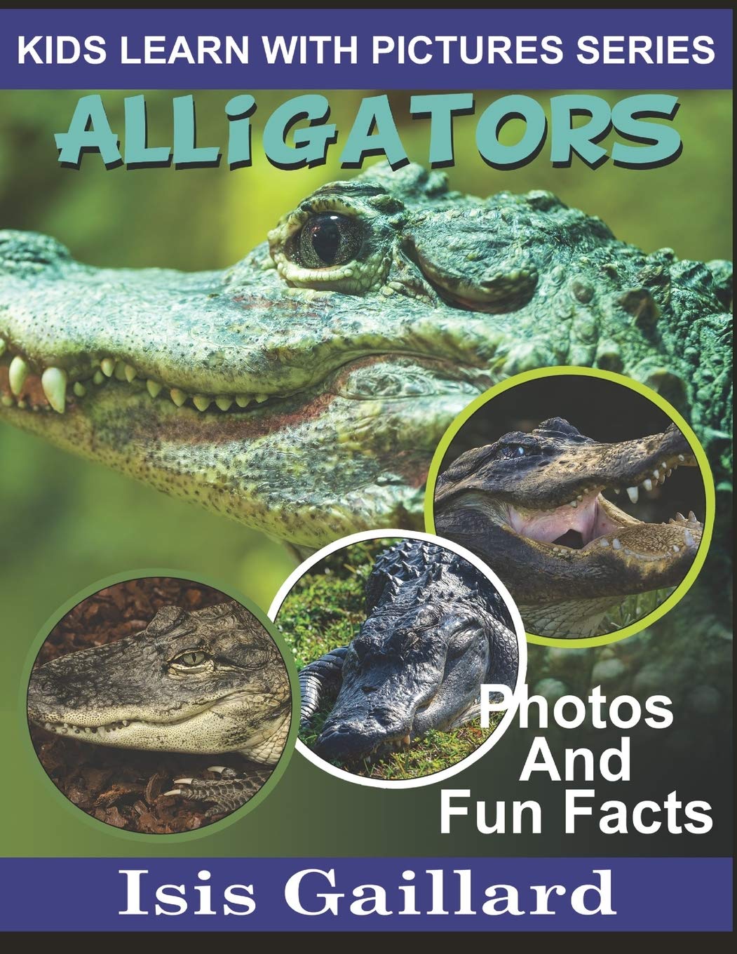 Alligators: Photos and Fun Facts for Kids (Kids Learn With Pictures ...