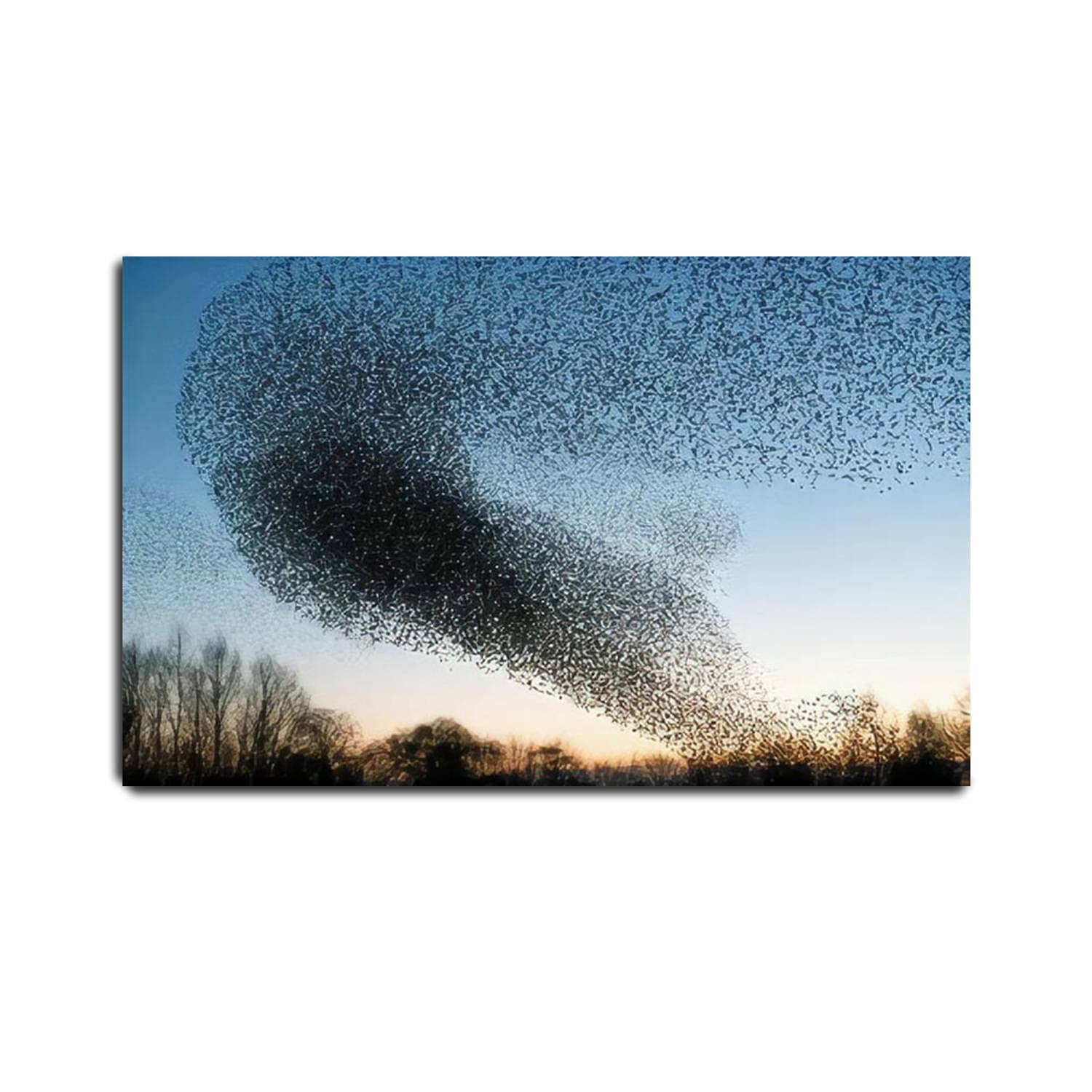 Starling Flock