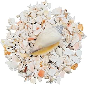Amazon.com: Natural Sea Shell Powder, Crushed Coarse For Craft Inlay ...