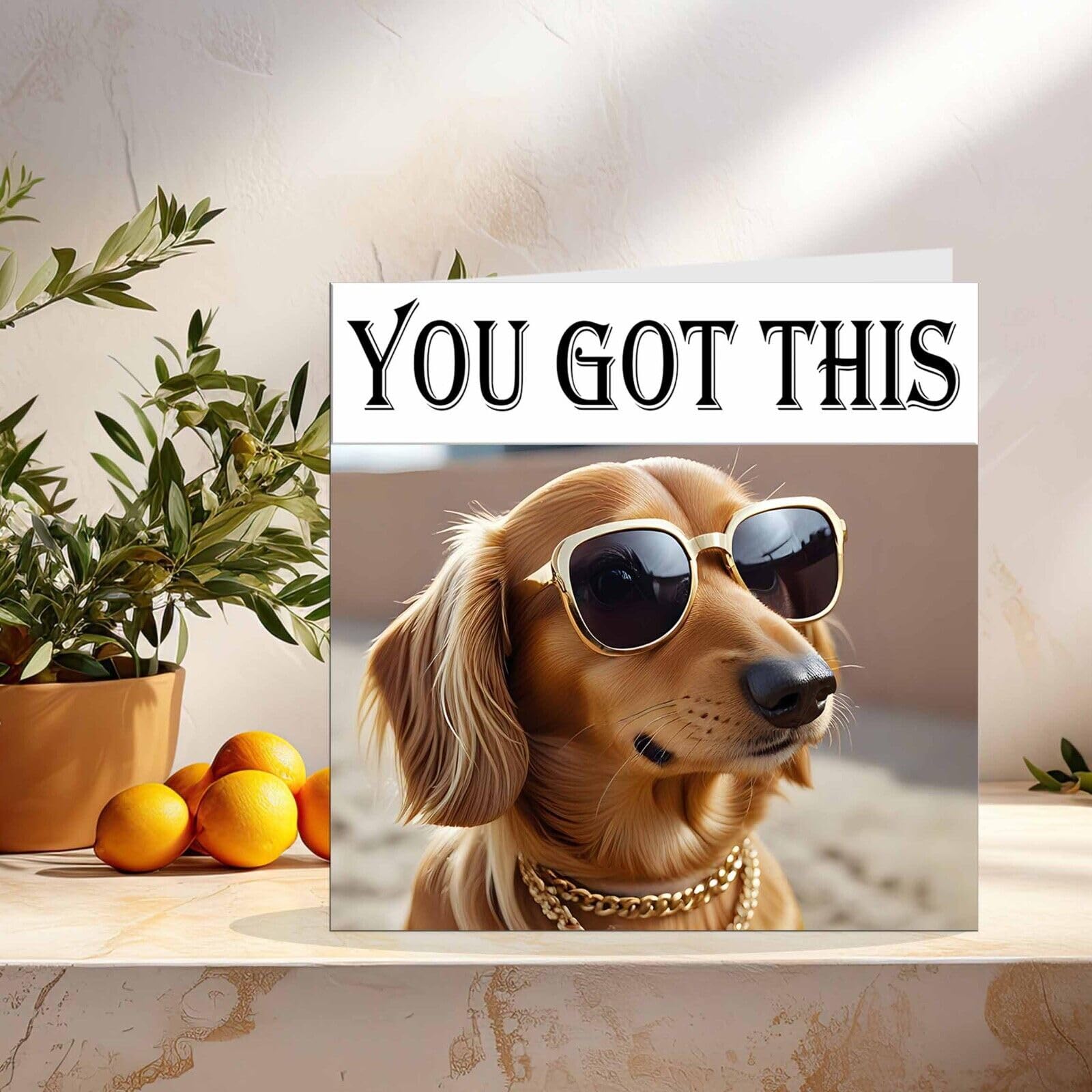 Great Job Dog Leckerliedosen, Individuell Und Stylisch