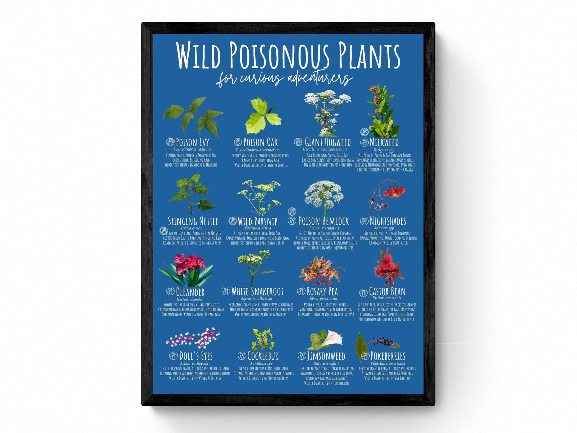 Amazon.com: Retro Metal Tin Sign 12 X 16 Inches Wild Poisonous Plants ...