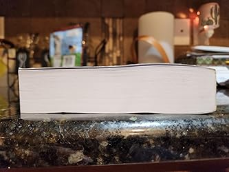 Amazon.com: Tallinn Manual 2.0 on the International Law Applicable to ...