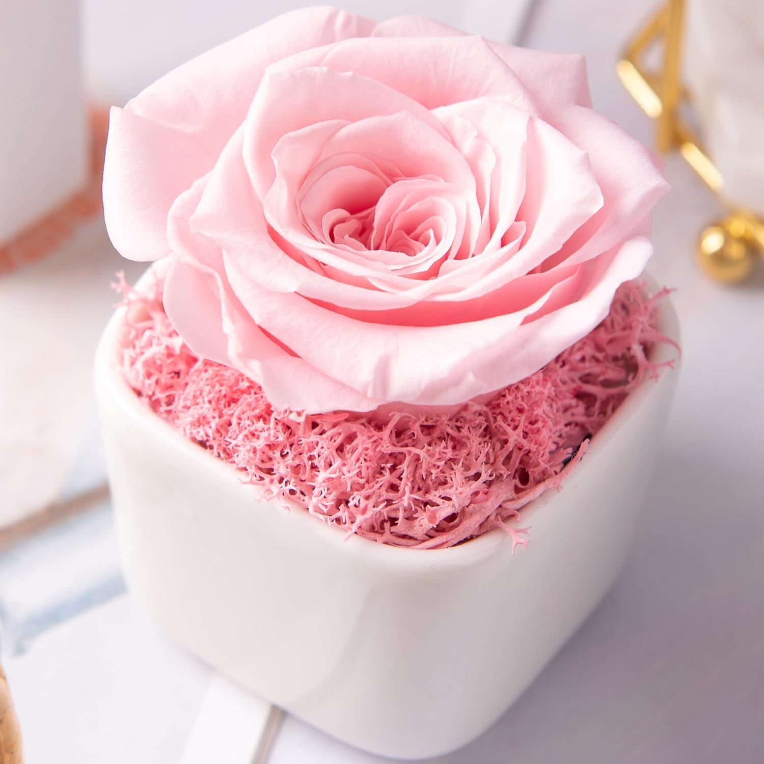 Amazon.com: Forever Pink Rose in a Box Preserved Birthday Flowers ...