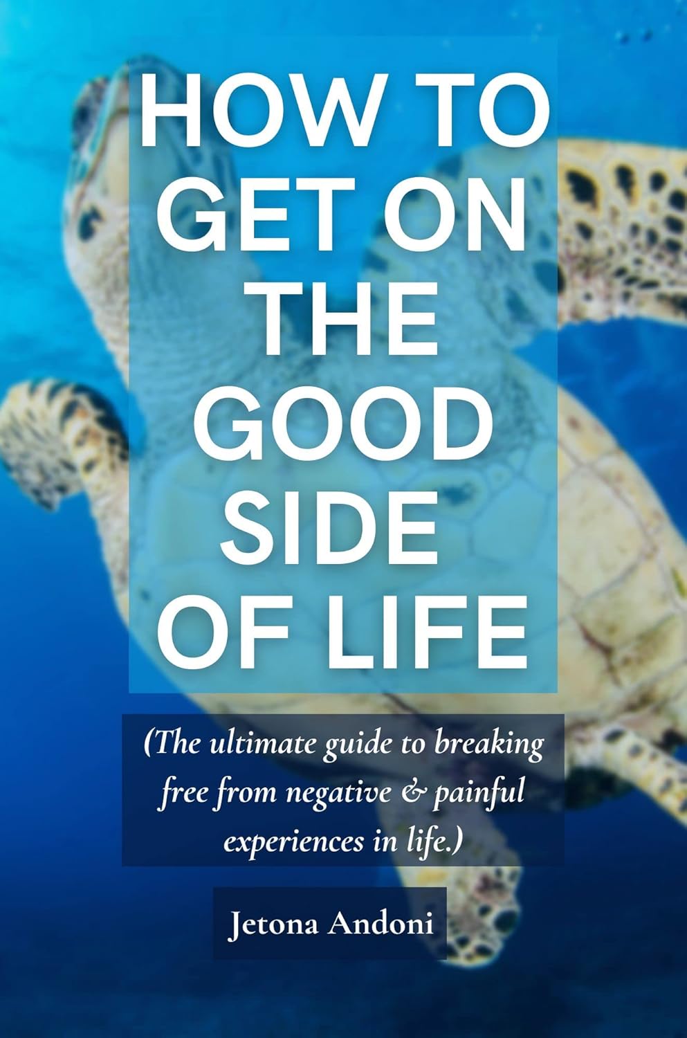HOW TO GET ON THE GOOD SIDE OF LIFE: (The ultimate guide to breaking ...