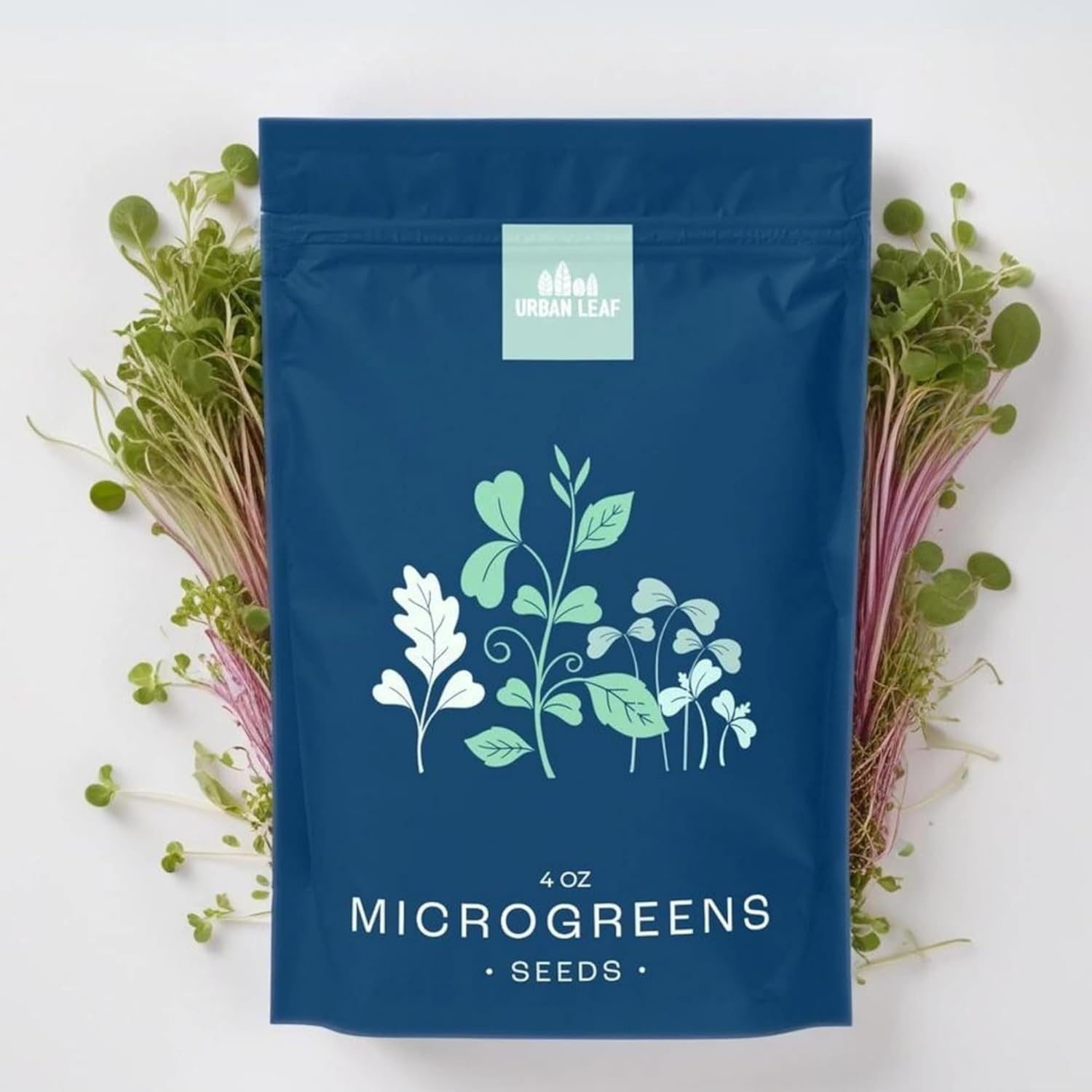 Amazon.com : Organic Alfalfa Microgreens Seeds 4oz - Non-GMO, High ...