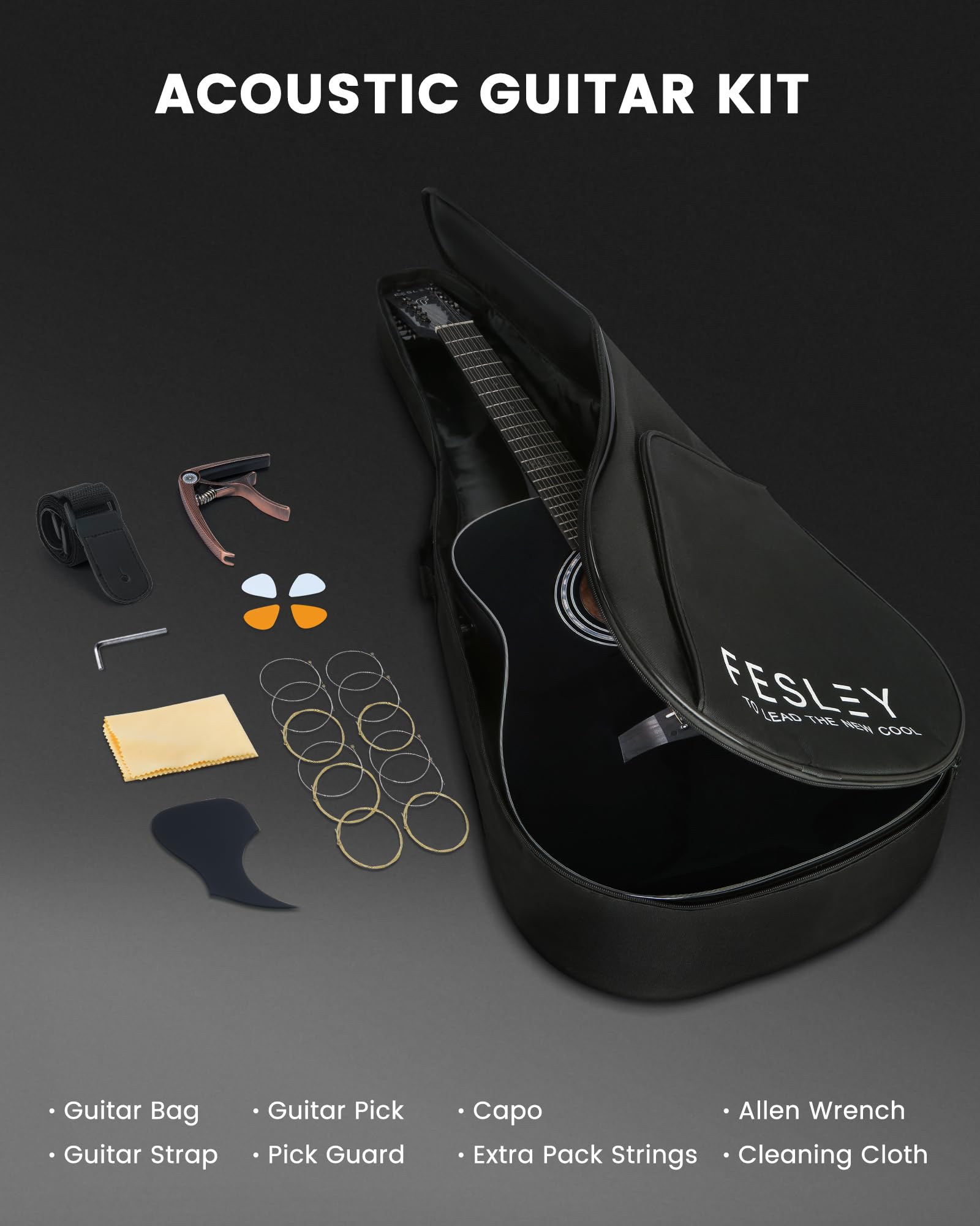 Fesley 12 String Guitar, 42" Full Size Acoustic Electric Guitars for ...