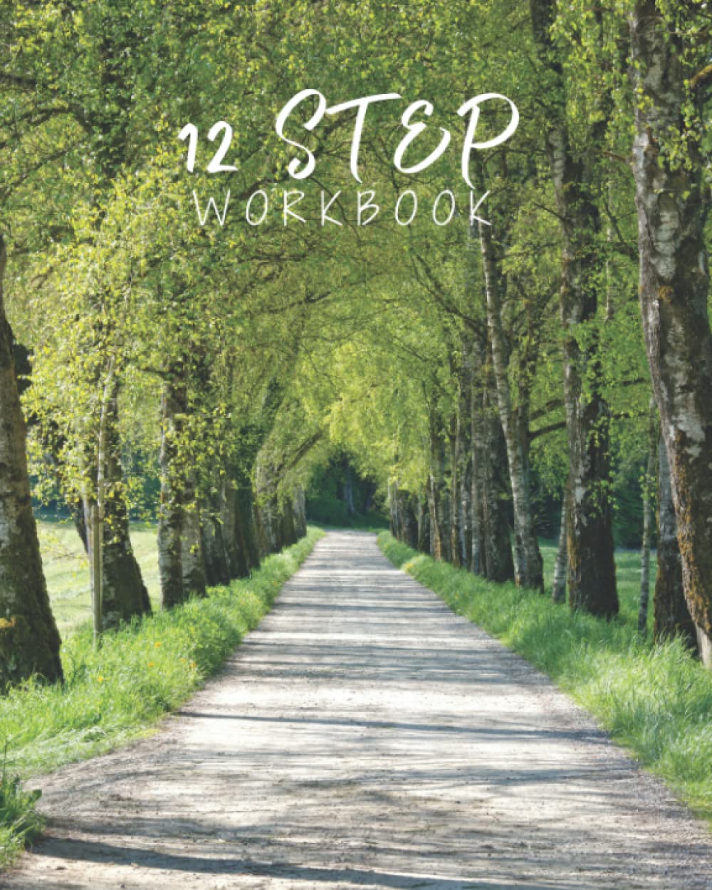 12 Step Workbook | 150 Pages of Actionable Recovery Activities ...