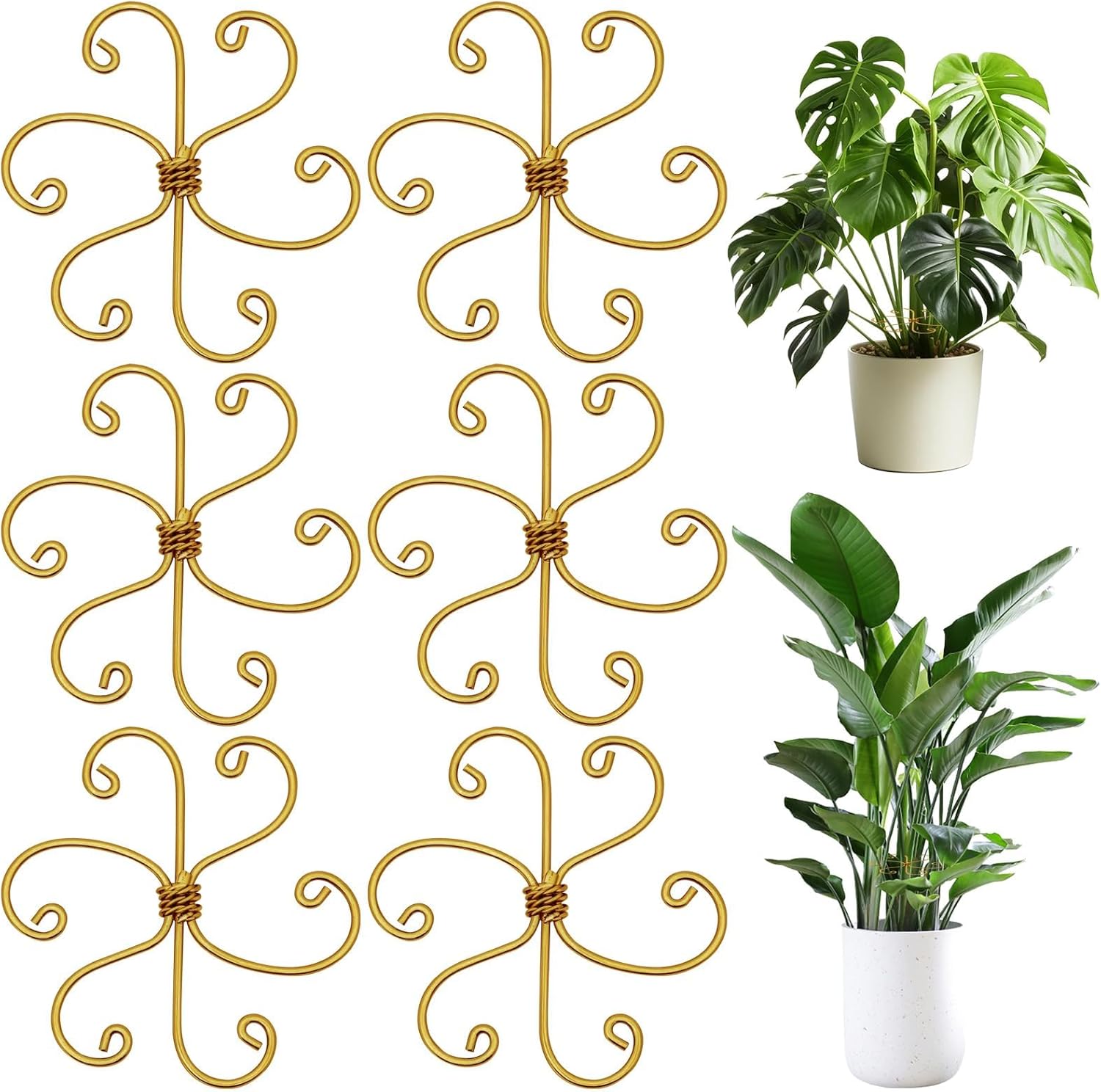 Amazon.com : 6Pcs Plant Stem Support, Plant Support Stakes Supplies for ...