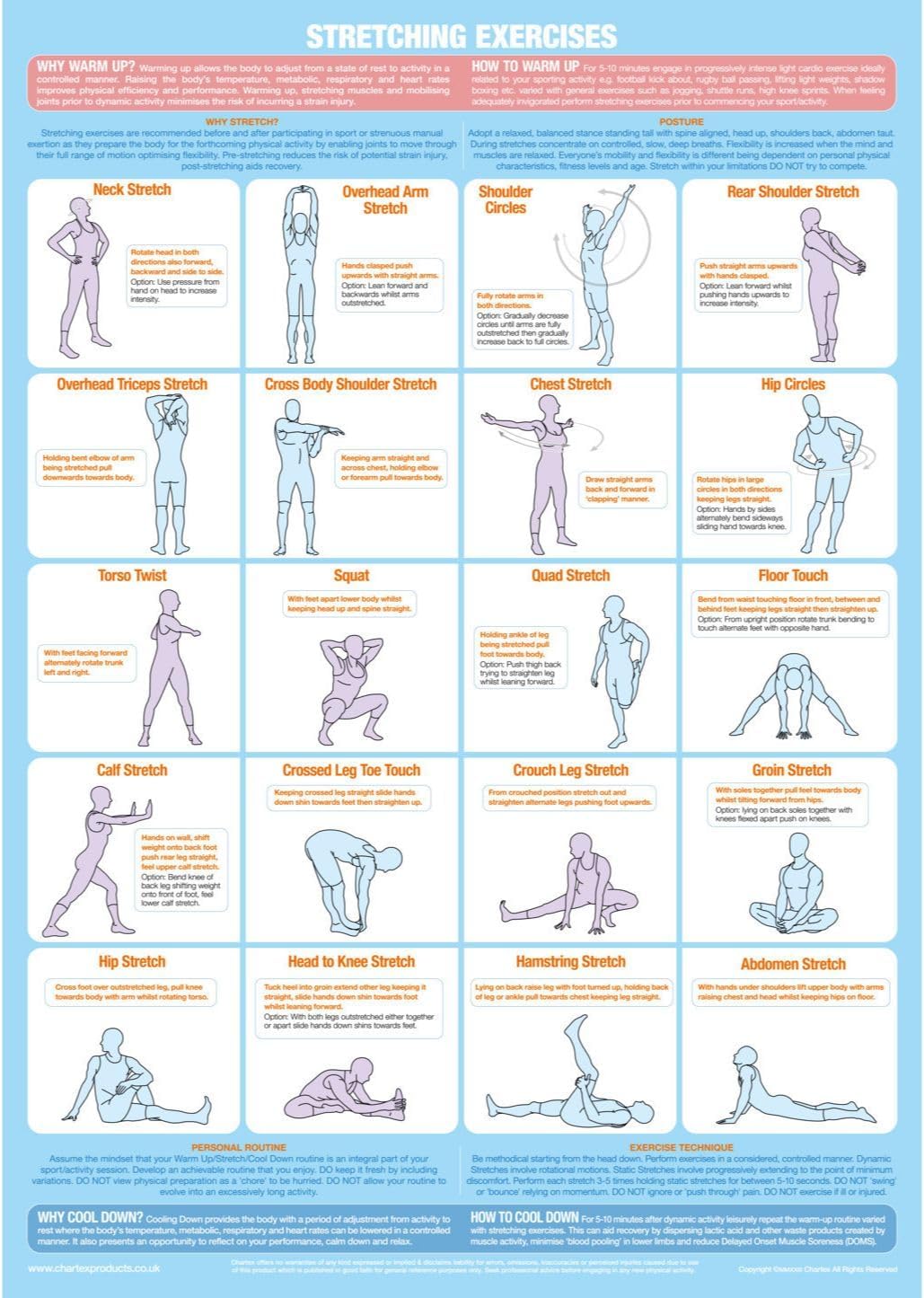 Exercise Poster Stretching Warm Up Cool Down Chart (A3 Laminated ...