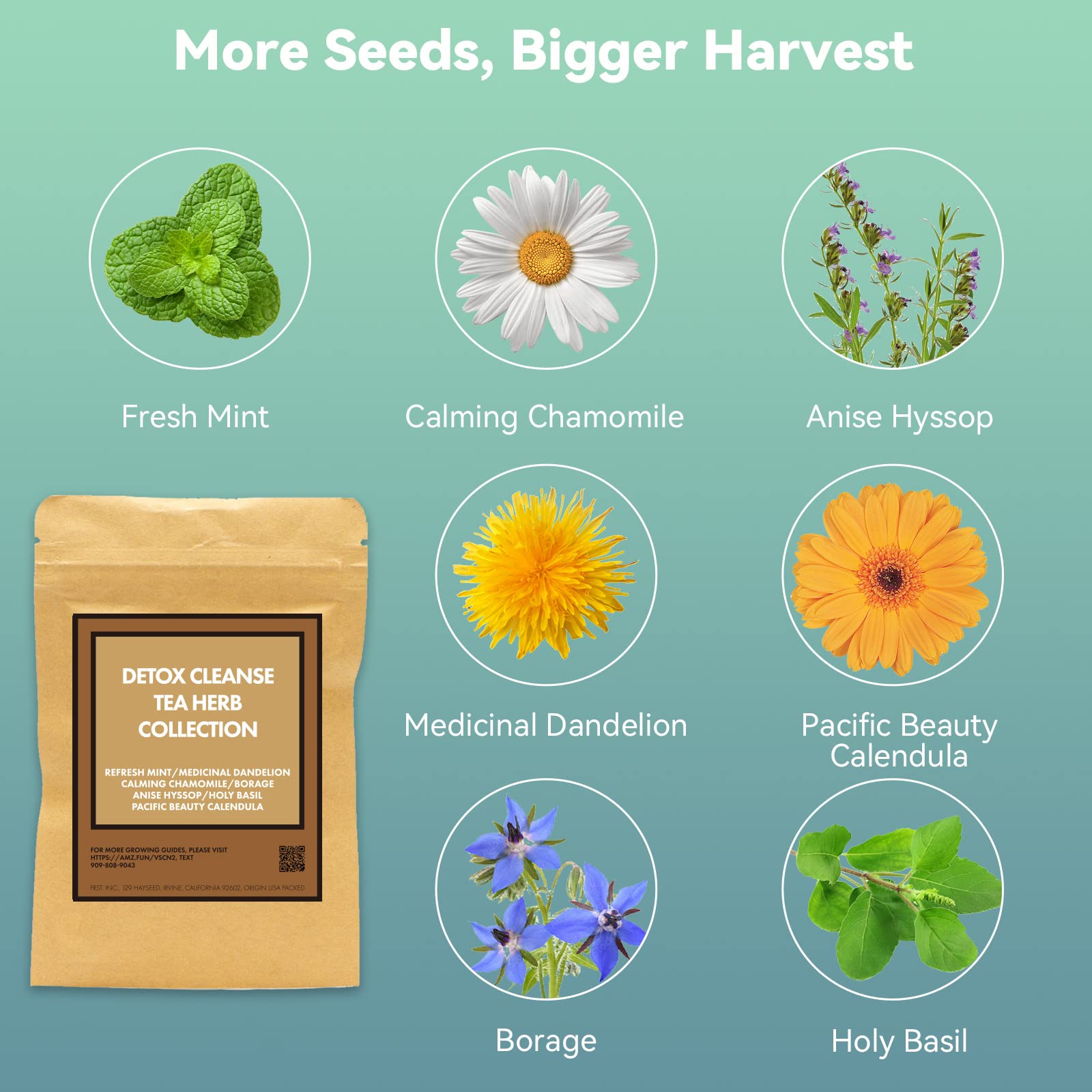 Snapklik.com : LYKO Mint Seed Pod Kit For AeroGarden, Idoo, MUFGA ...