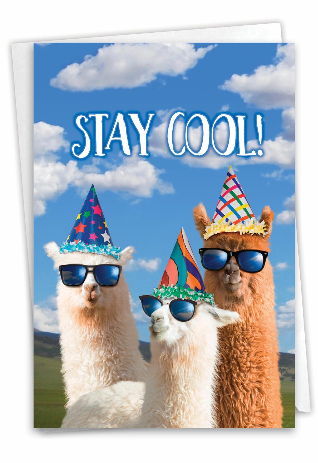 Funny Animals Celebrating