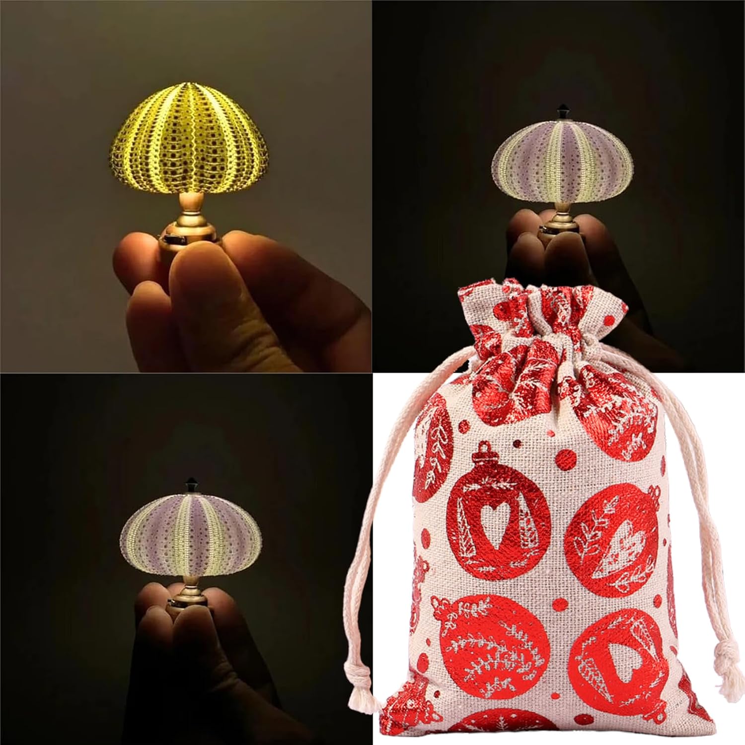 EZGHAR DIY Sea Urchin Night Light -Sea Urchin Shell Night Lamp, Funny ...