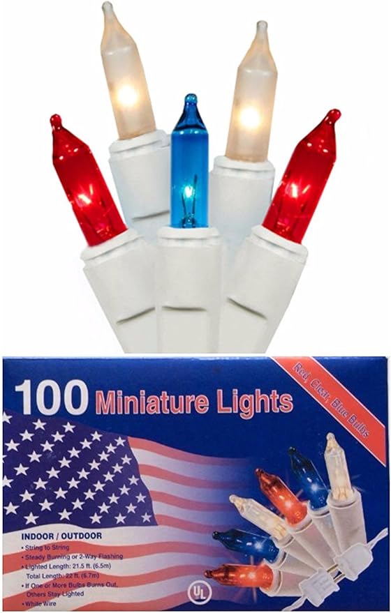 Amazon.com : Nantucket Home Patriotic 100 Mini Lights Red White and ...