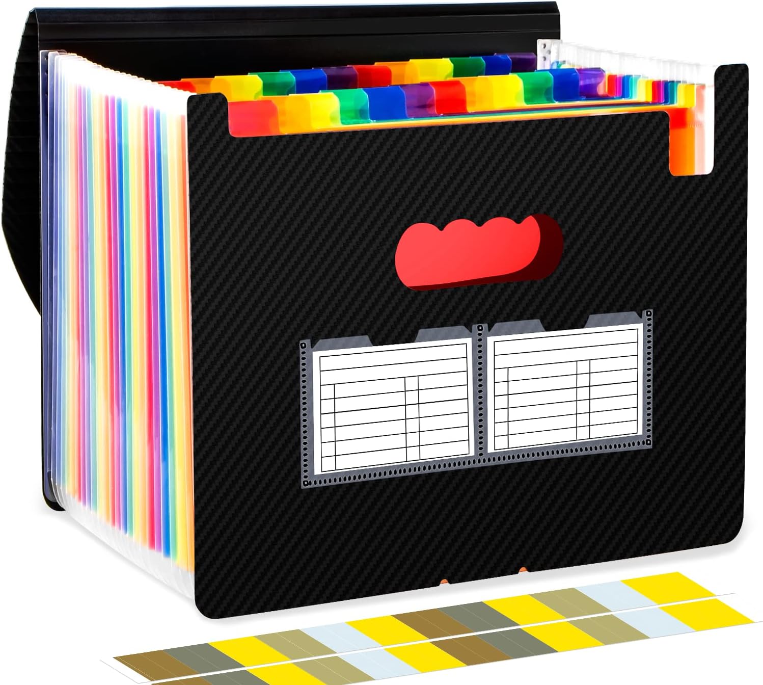 Amazon.com : Accordion File Organizer, 24 Pockets Expanding File ...