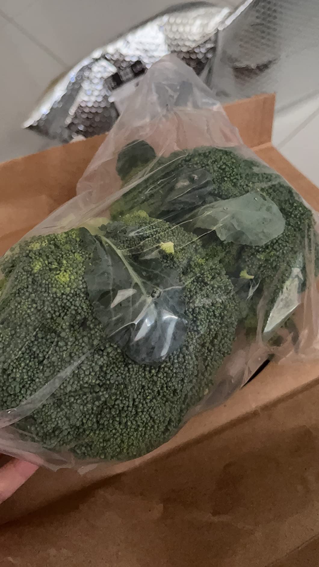 Fresh Produce Broccoli, 2 Count : Amazon.sg: Grocery