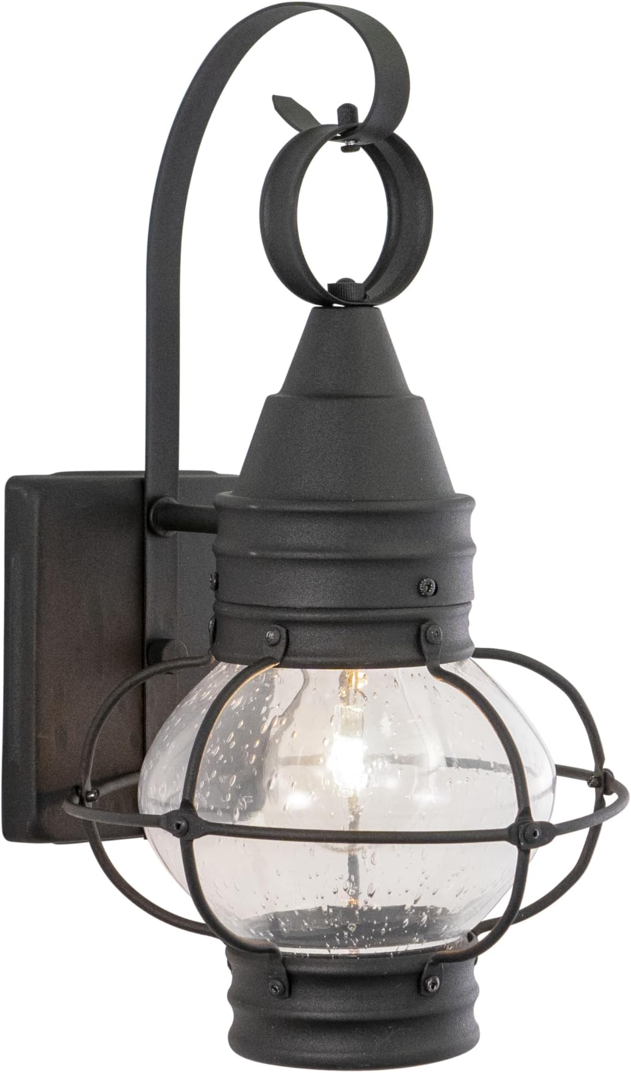 Norwell Lighting Large Cottage Onion Single Light Wall Lamp 1324-BL-CL ...