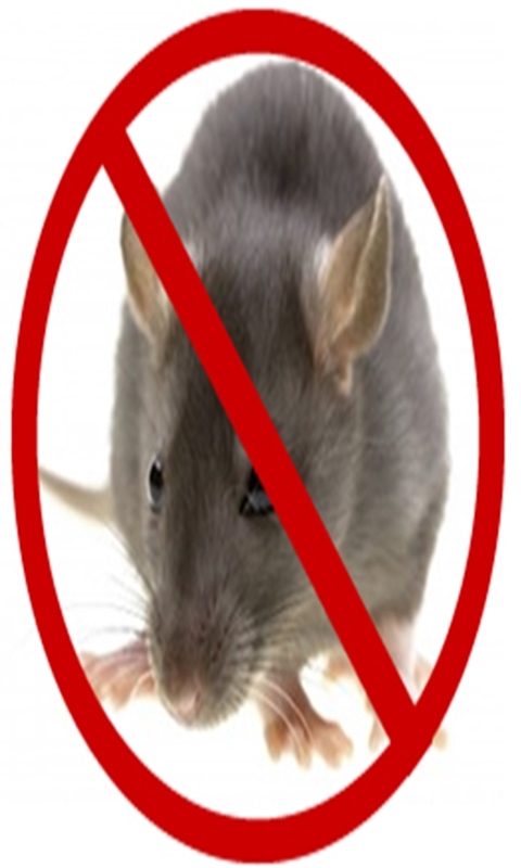 Rodent Repeller - App on Amazon Appstore