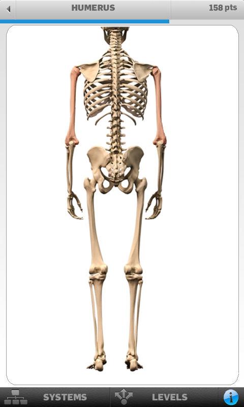 SKELETAL ANATOMY GAME - App on Amazon Appstore