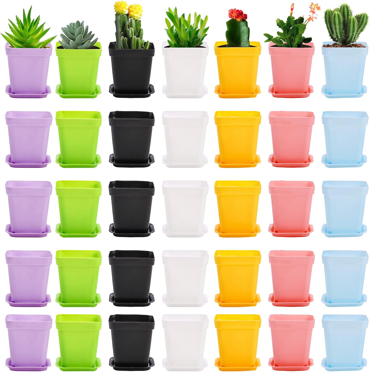 Amazon.com: FoldTier 90 Pcs Small Plant Pot Garden Plastic Pot Craft ...