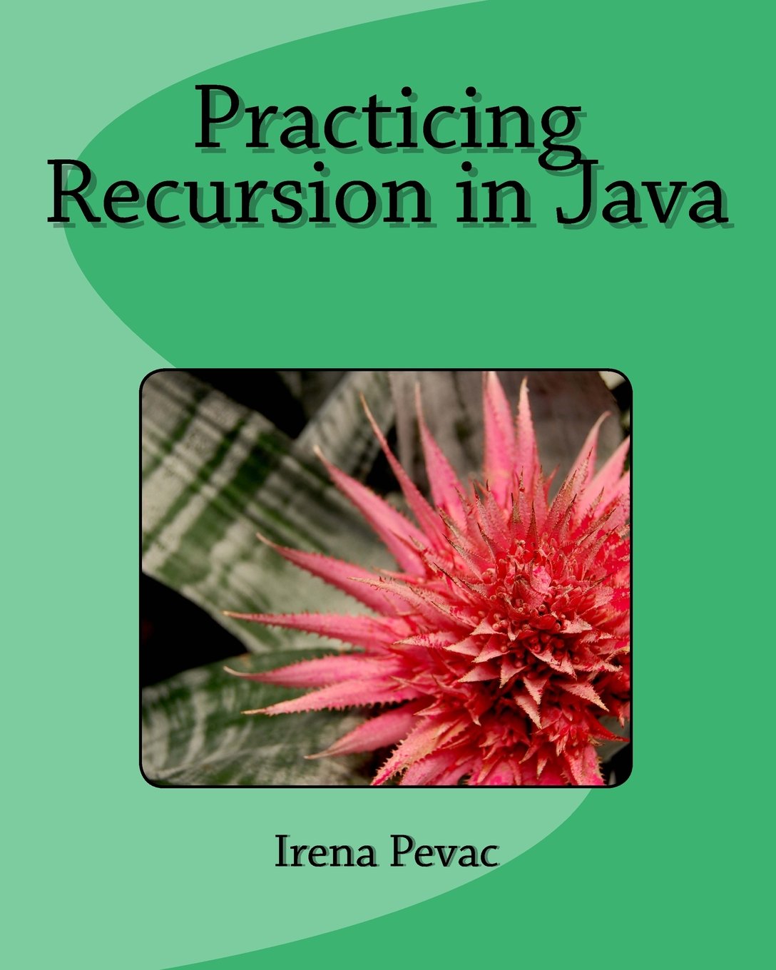Practicing Recursion in Java: Pevac, Irena: 9781532712272: Amazon.com: Books