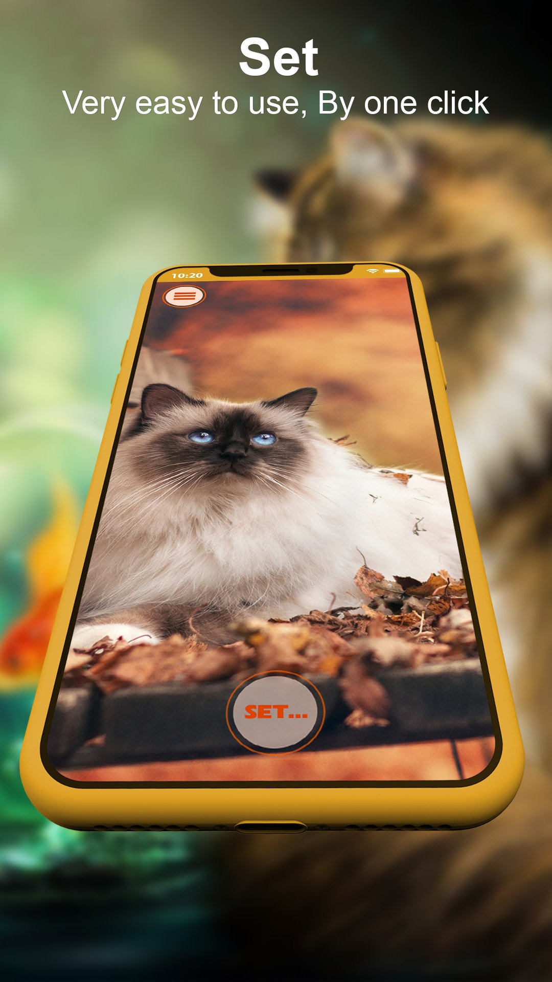 Lively Cute Cat Wallpaper 4K:Amazon.in:Appstore for Android