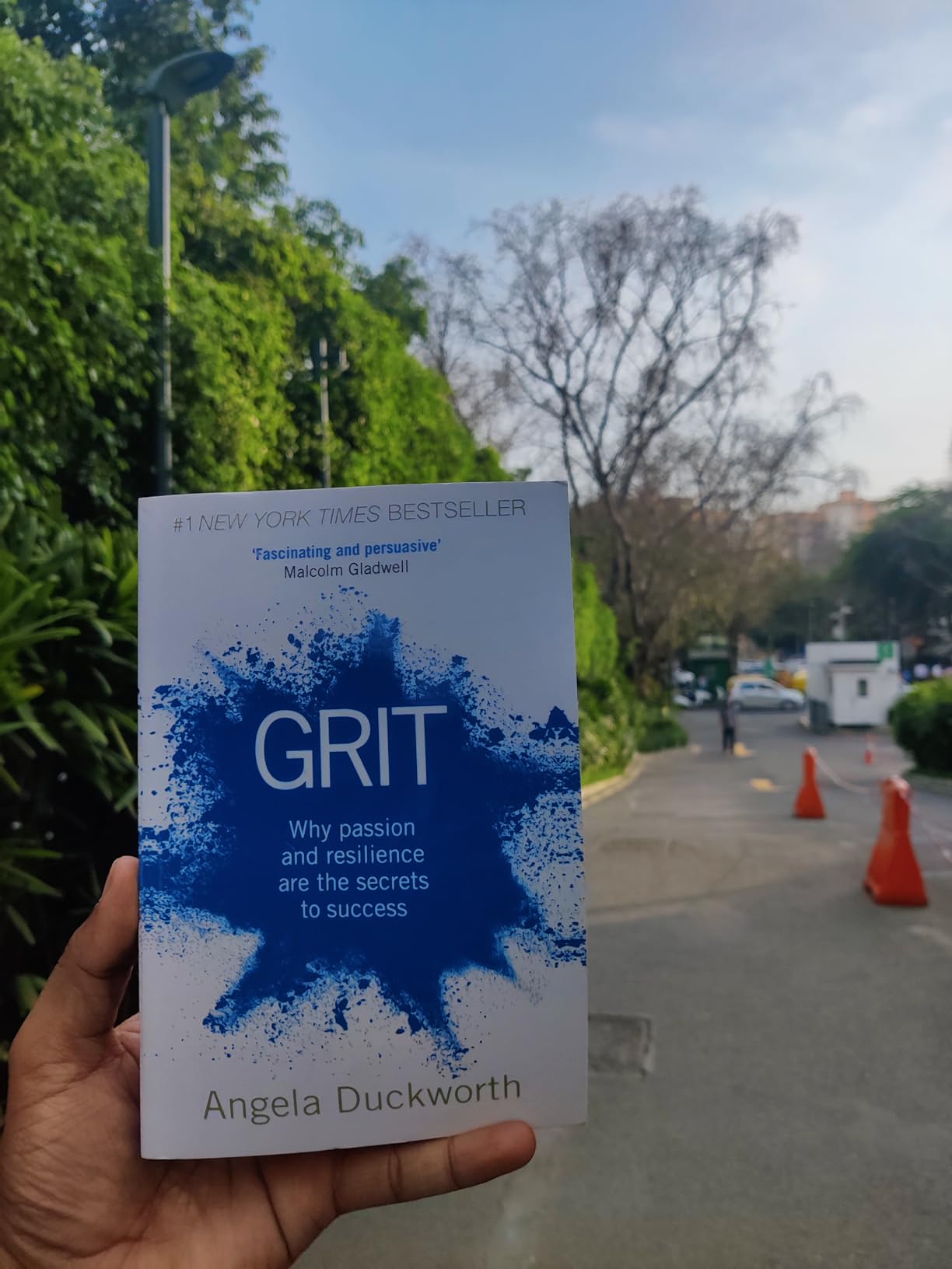 Grit: The Power of Passion and Perseverance : Duckworth, Angela: Amazon ...