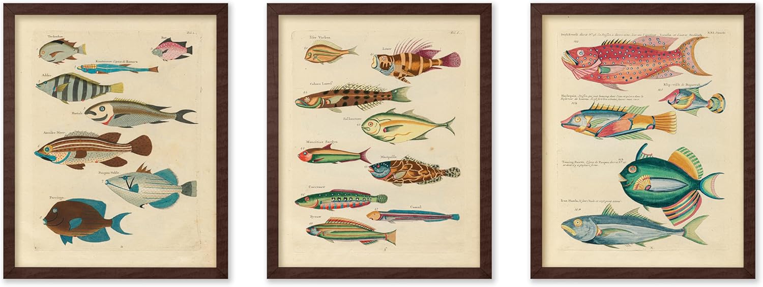 Amazon.com: Poster Master 3-Piece Vintage Tropical Fish Poster - Retro ...