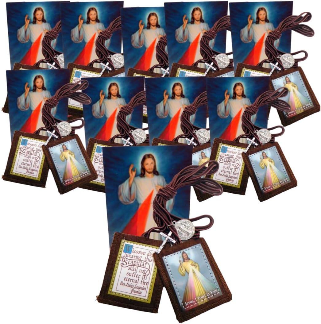 Amazon.com: Westmon Works Divine Mercy Scapular Bulk with Holy Cards ...