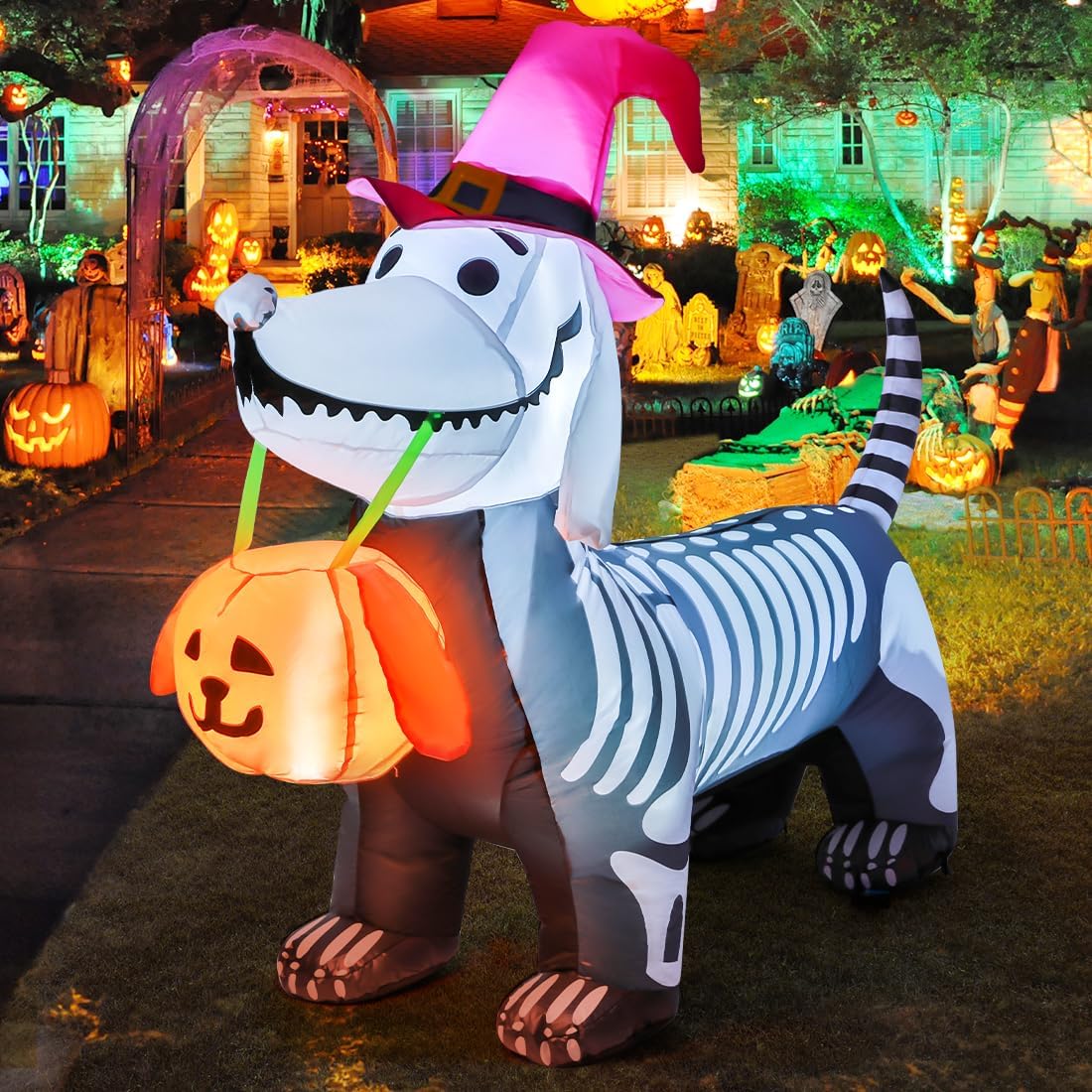 Watch halloween dog inflatable on Amazon Live