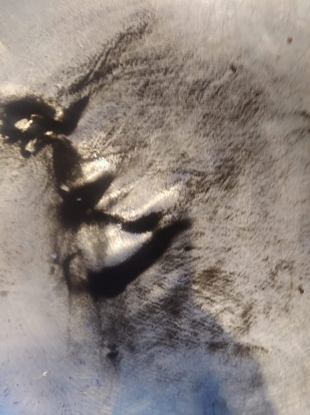 Maanki Poped Jowar/Ready To Eat Popcorn Dhani/Puffed Jovar Dhani, 500g ...