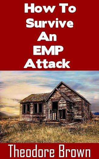Amazon.com: How To Survive An EMP Attack: The Ultimate Beginner’s Guide ...