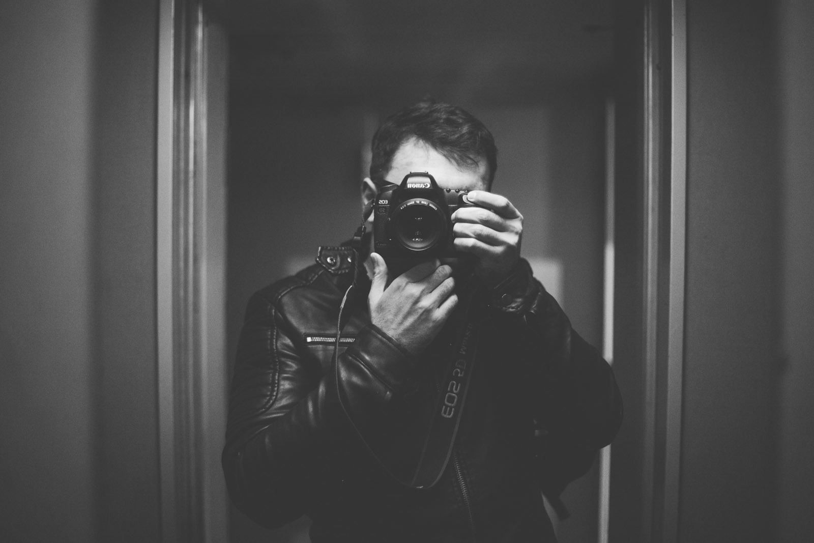 Amazon.com: David Reed: books, biography, latest update