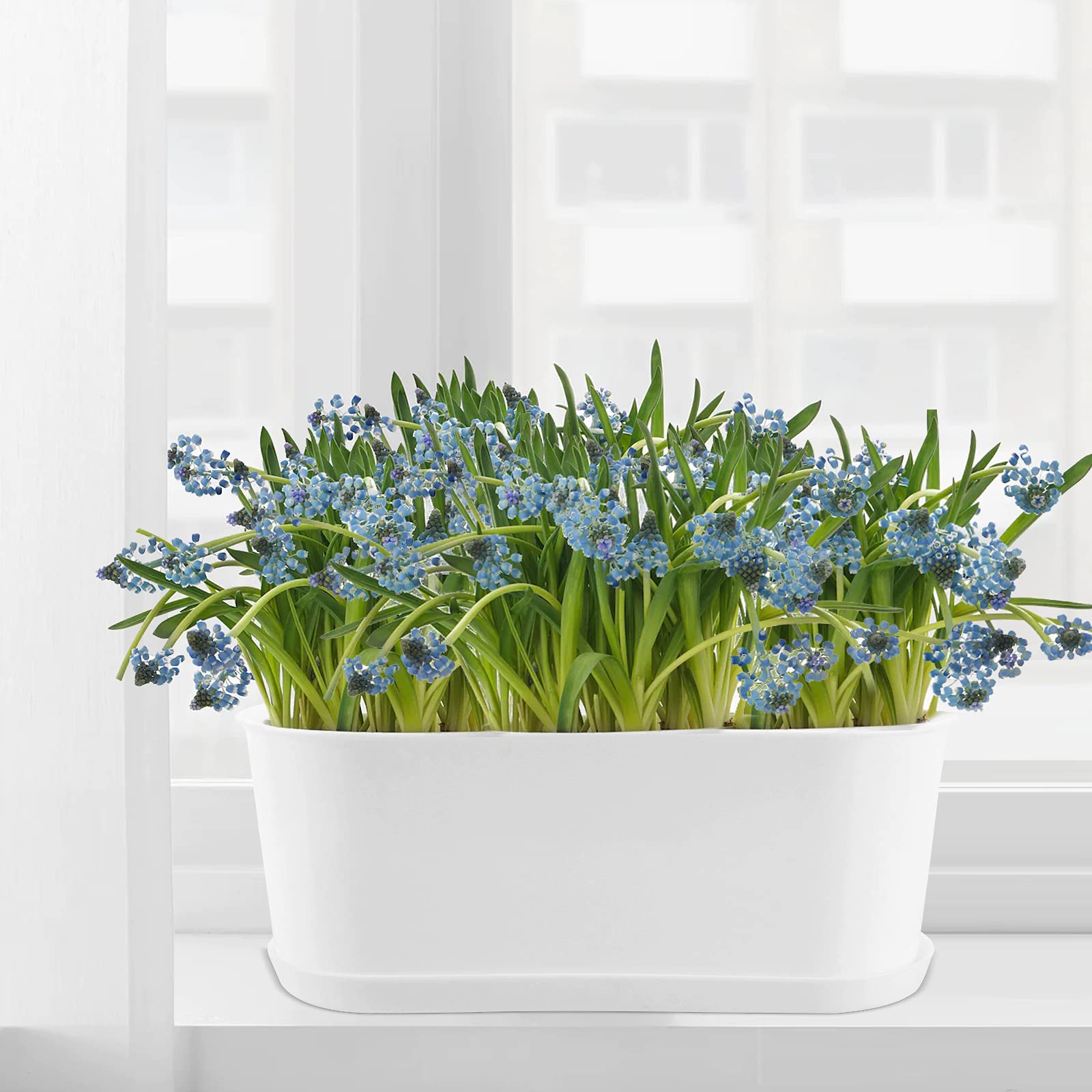 Rectangle White Plastic Plant Liners