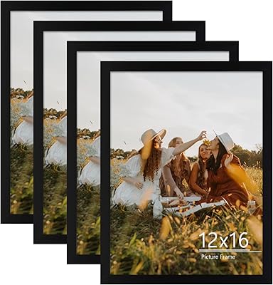Amazon.com: OMAIGAR 12x18 Picture Frame Set of 5, Black Poster Frames ...