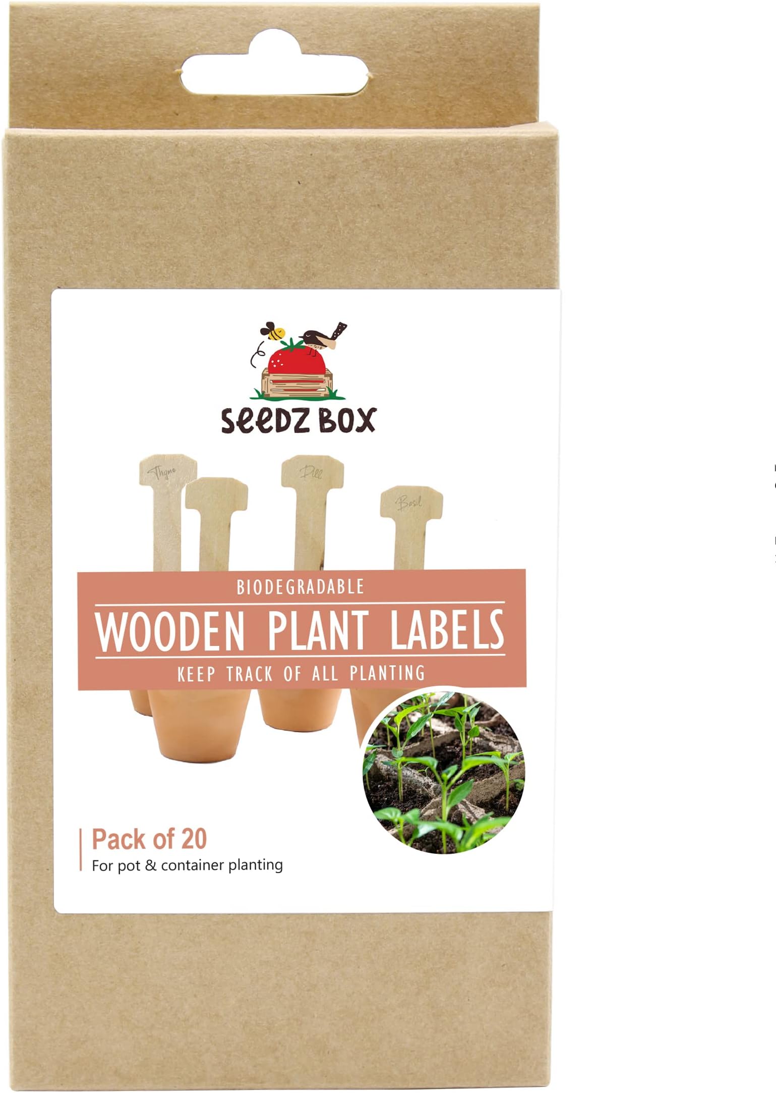 Wooden Plant Labels for Outdoor and Indoor Plants - 20 x Premium Birch ...