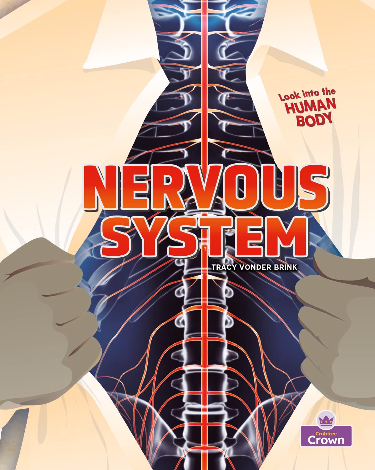 Amazon.com: Nervous System (Look into the Human Body): 9781039800182 ...