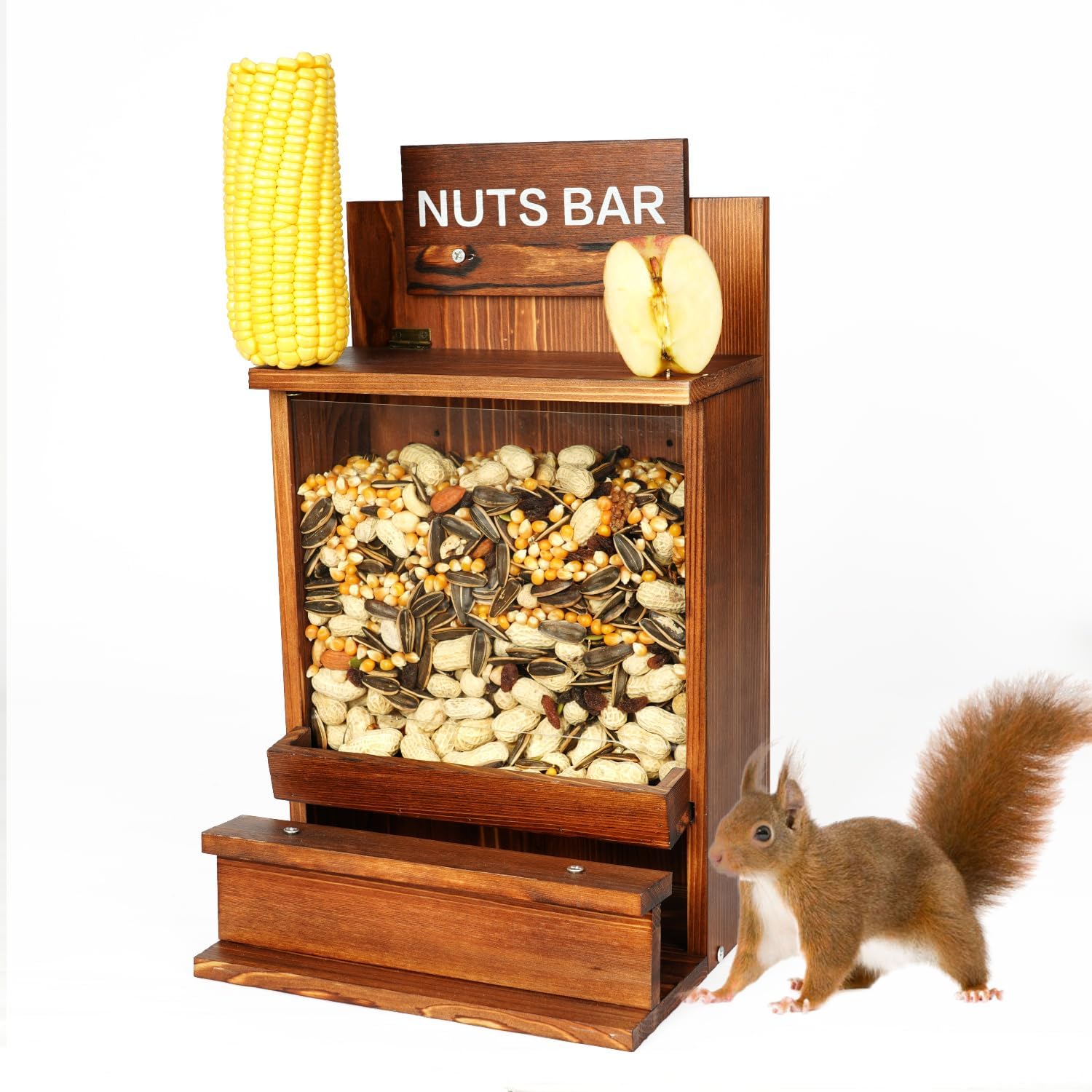 Amazon.com : Esterno Nut Bar Squirrel Feeder, Funny Bar Stool Outdoor ...