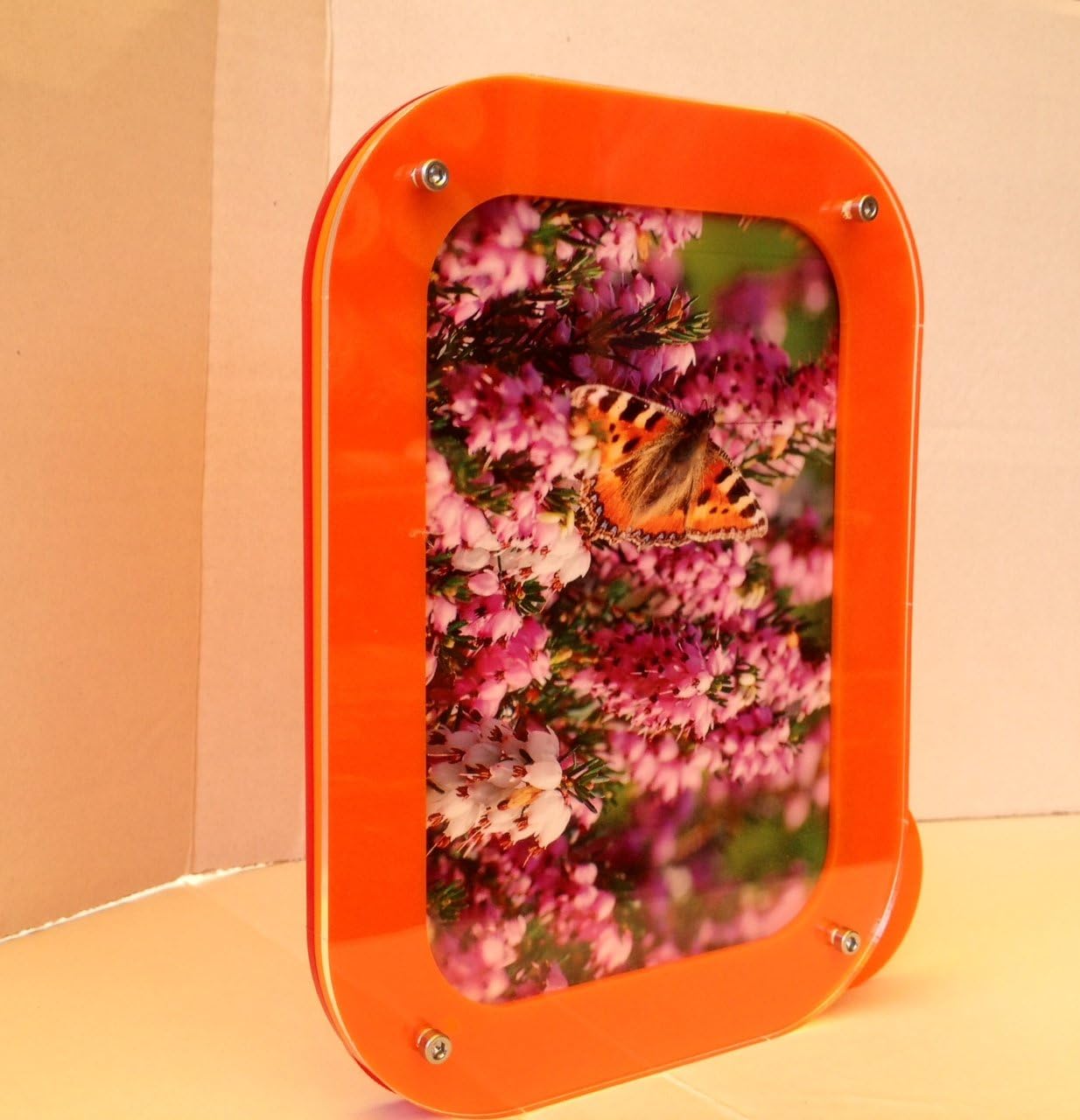 Amazon.com: acrylic memory frame (white/black, 6x4) : Everything Else