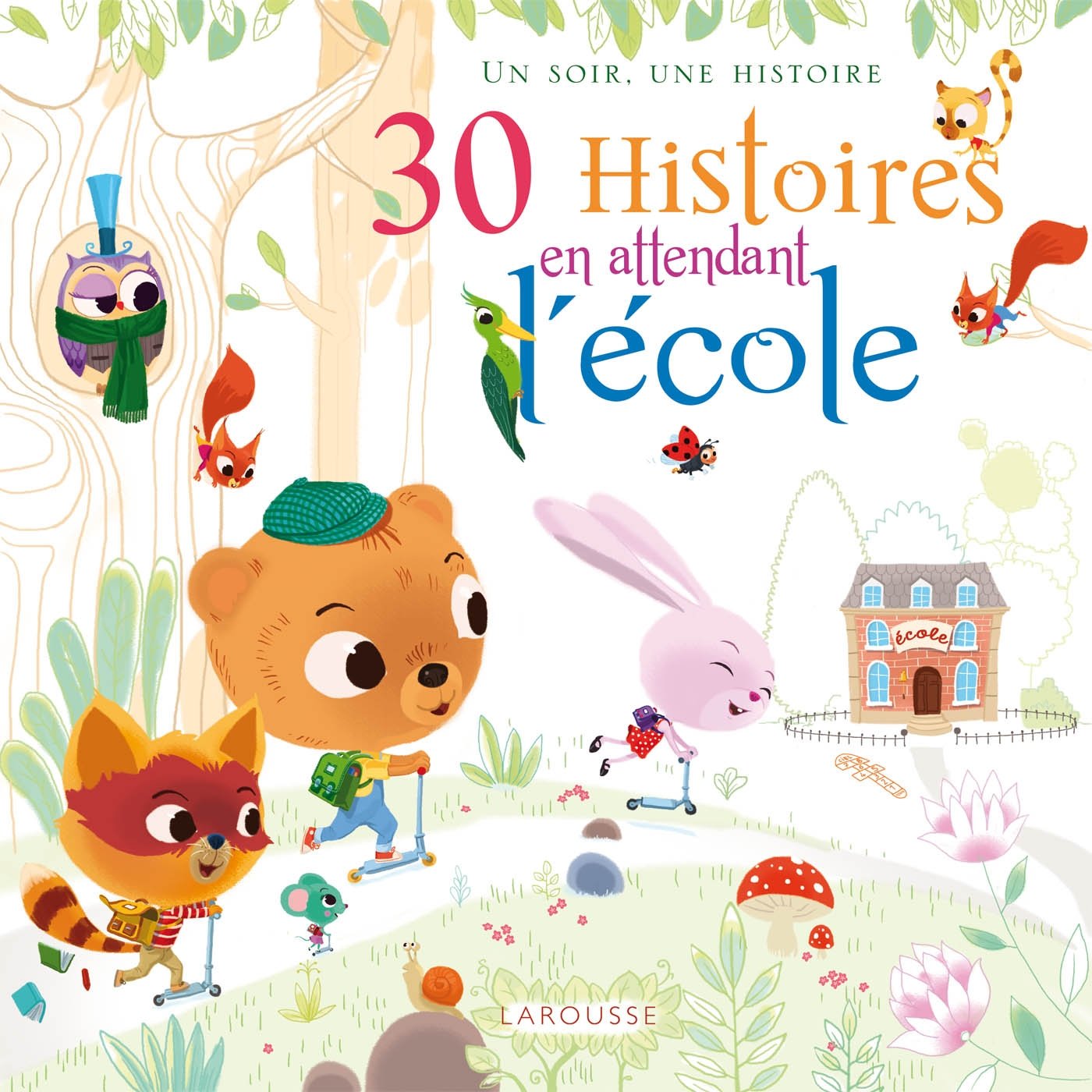 Amazon.com: 30 Histoires en attendant l'école: 9782035913029: Various ...