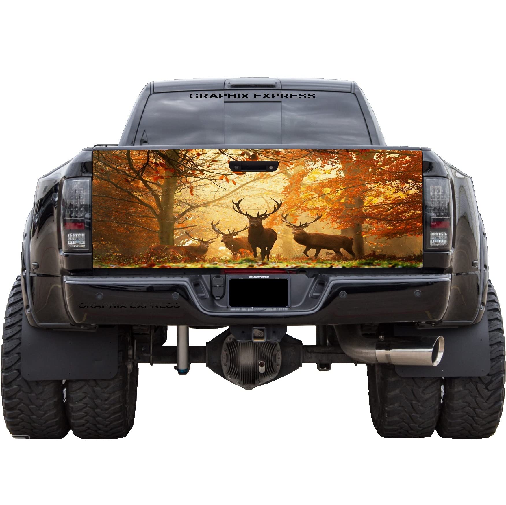 Amazon.com - GRAPHIX EXPRESS Truck Tailgate Wrap for Pickup Trucks (T78 ...