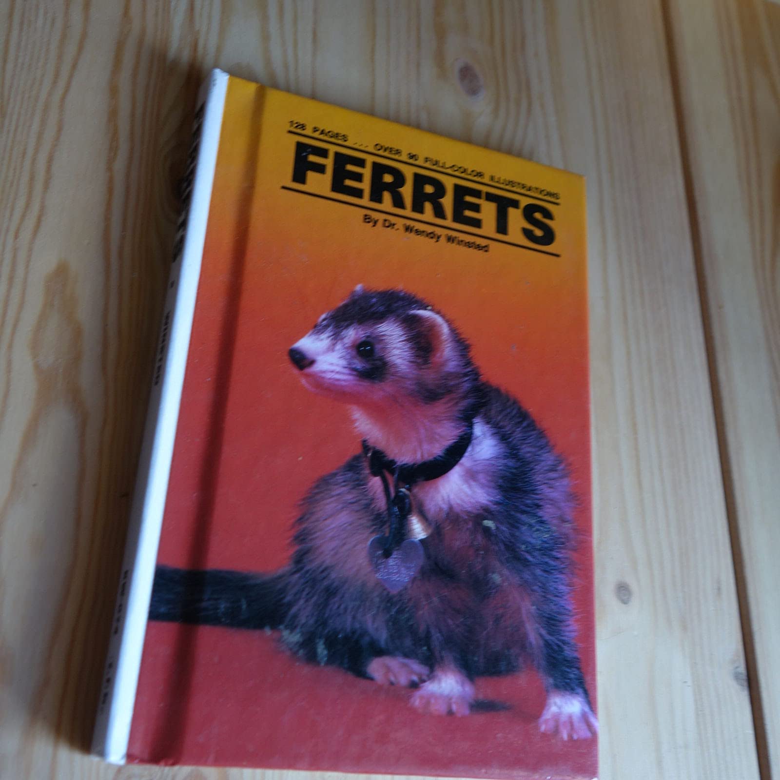 Ferrets: Dr. Wendy Winsted: 9780866228299: Amazon.com: Books