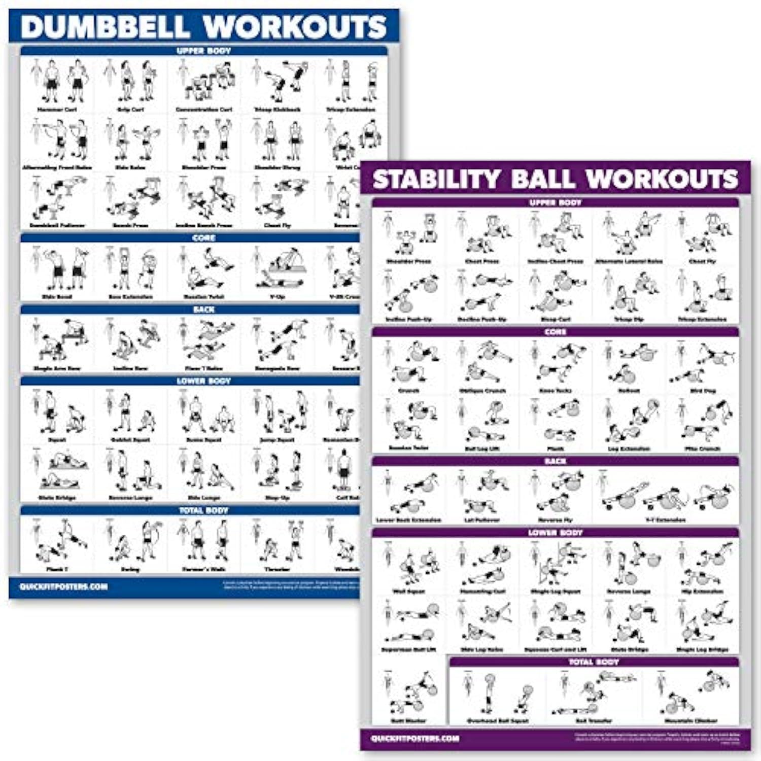 QuickFit Dumbbell Workouts and Exercise Ball Poster Set - Laminated 2 ...