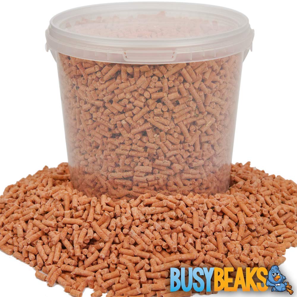 Buy BusyBeaks Berry Suet Pellets | Premium Garden Wild Bird Food Mix ...