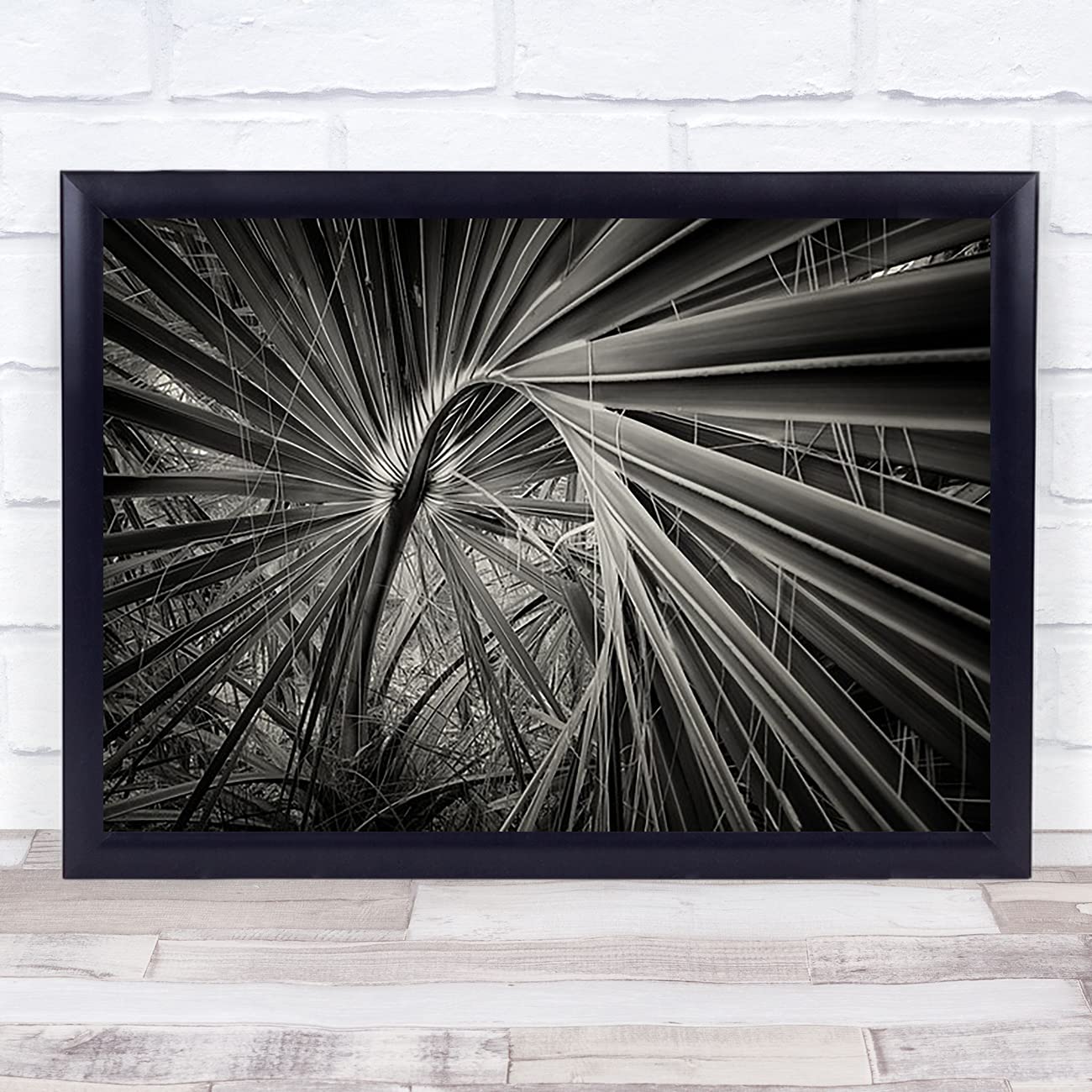 Repetition In Nature