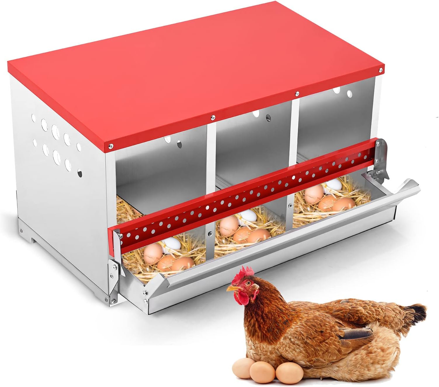 Amazon.com: Chicken Nesting Box, LIVOSA 3 Compartments Metal Chicken ...
