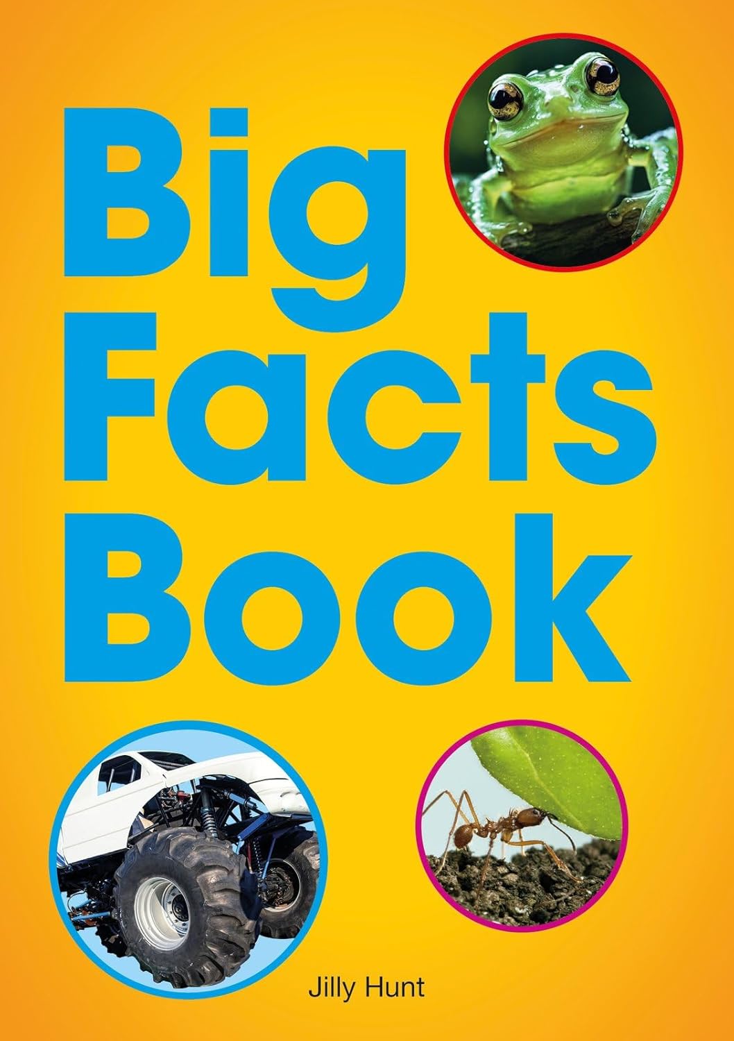 Big Facts Book - high-low decodable reader for ages 7+ (Striders ...