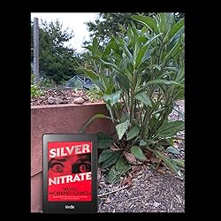 Amazon.com: Silver Nitrate: 9780593355367: Moreno-Garcia, Silvia: Books